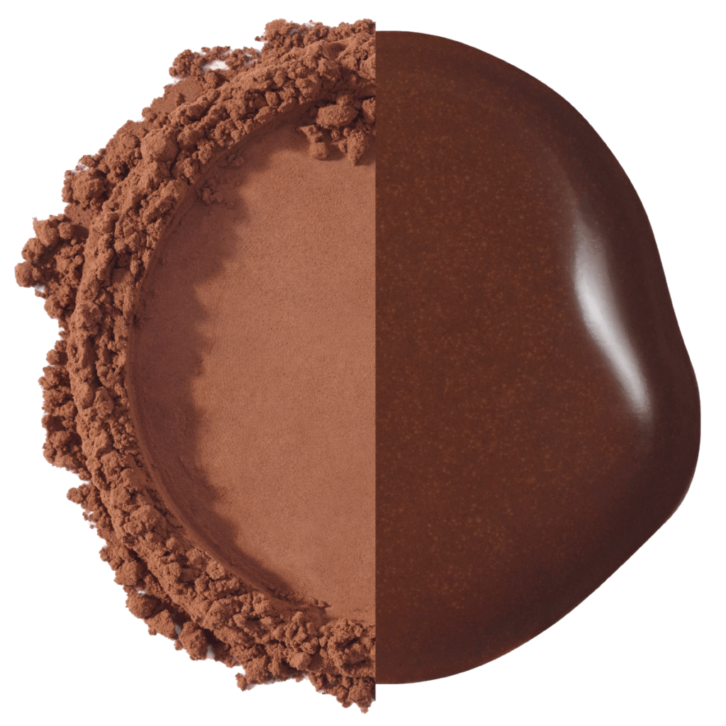 Comprehensive Guide to Cocoa Powder Color | سمت و سوی آتیه