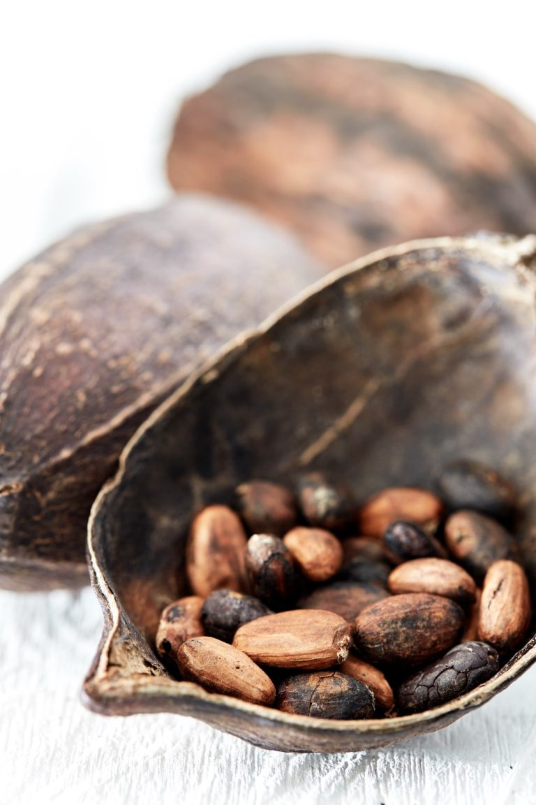 What is cocoa butter? | Properties, uses, alternatives